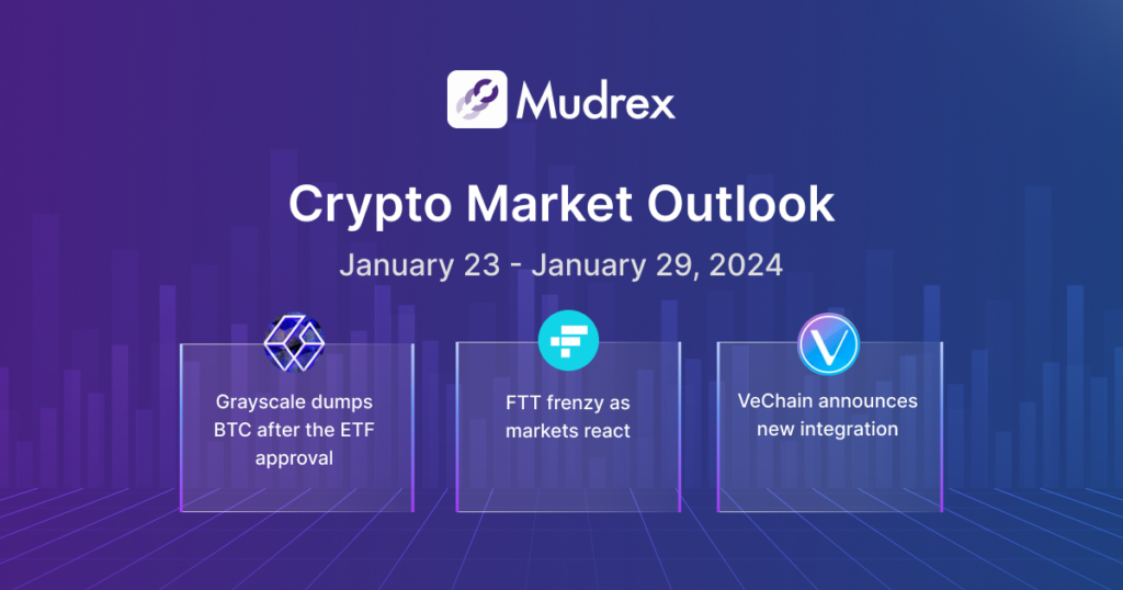 Market Update – Mudrex Blog