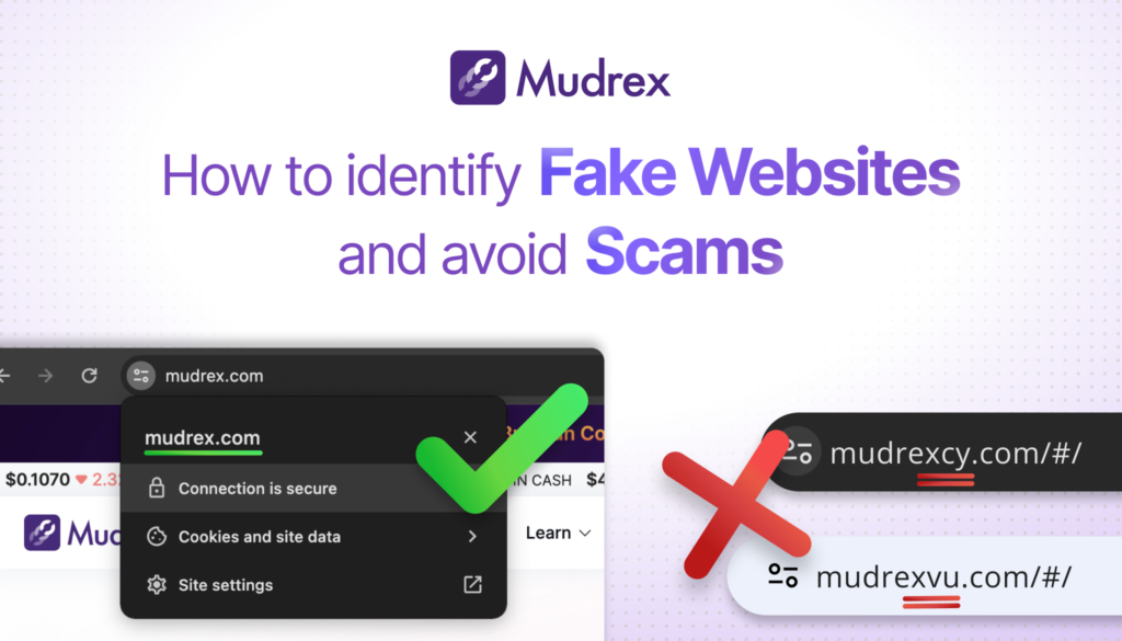 How to identify fake websites and avoid scams – Mudrex Blog