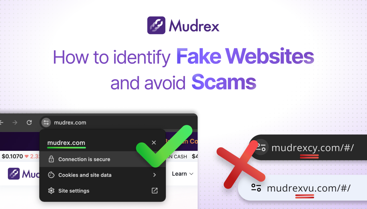 How to identify fake websites and avoid scams – Mudrex Blog