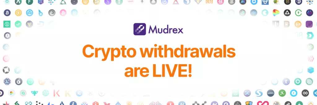 How to Withdraw Crypto From Mudrex: A Simple Guide