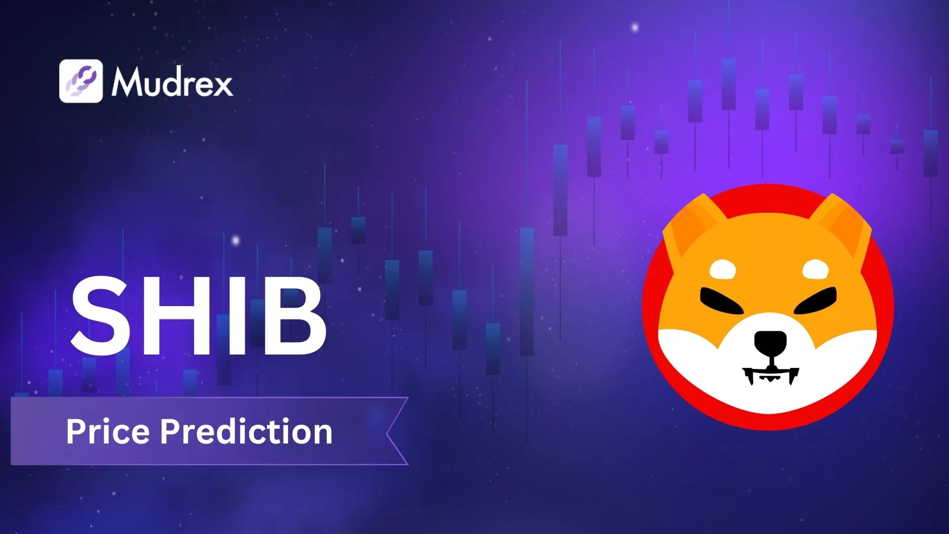 SHIBA INU (SHIB) Price Prediction & Forecast For 2024 To 2030 | Mudrex Learn
