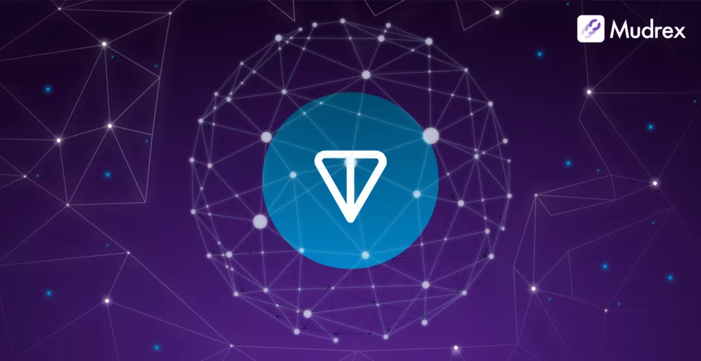 Key Drivers Behind Toncoin’s 200% Year-to-Date Surge | Mudrex Learn