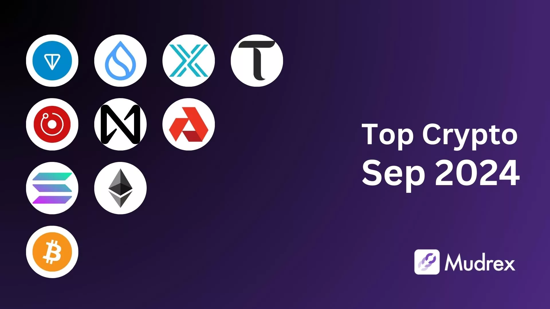 Top Cryptocurrencies To Buy For September 2024’s Bull Run | Mudrex Learn