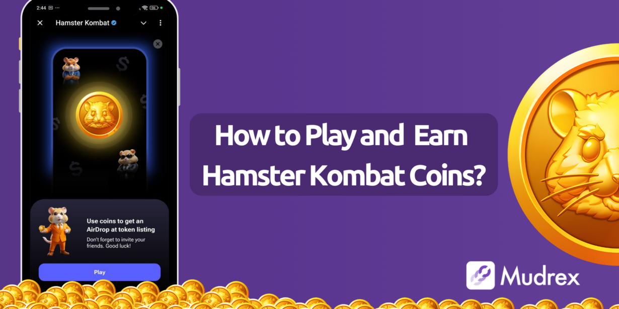 How To Play & Earn Hamster Kombat Coins? | Mudrex Learn