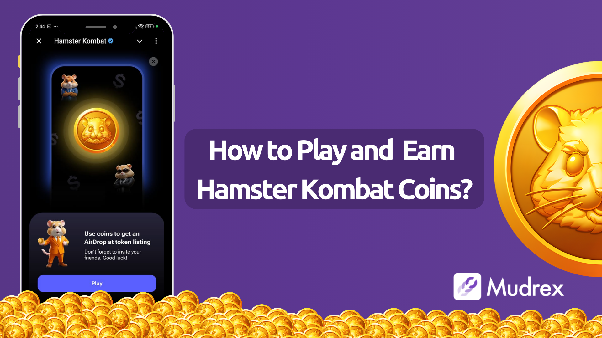 How To Play & Earn Hamster Kombat Coins? | Mudrex Learn