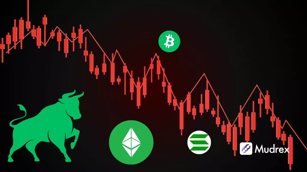 Crypto Bull Run Dip Strategy 2025: 6 Smart Moves During Crypto Dips | Mudrex Learn