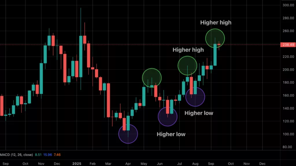 Fibonacci Levels Explained: Golden Pocket Trading Guide for Beginners ...