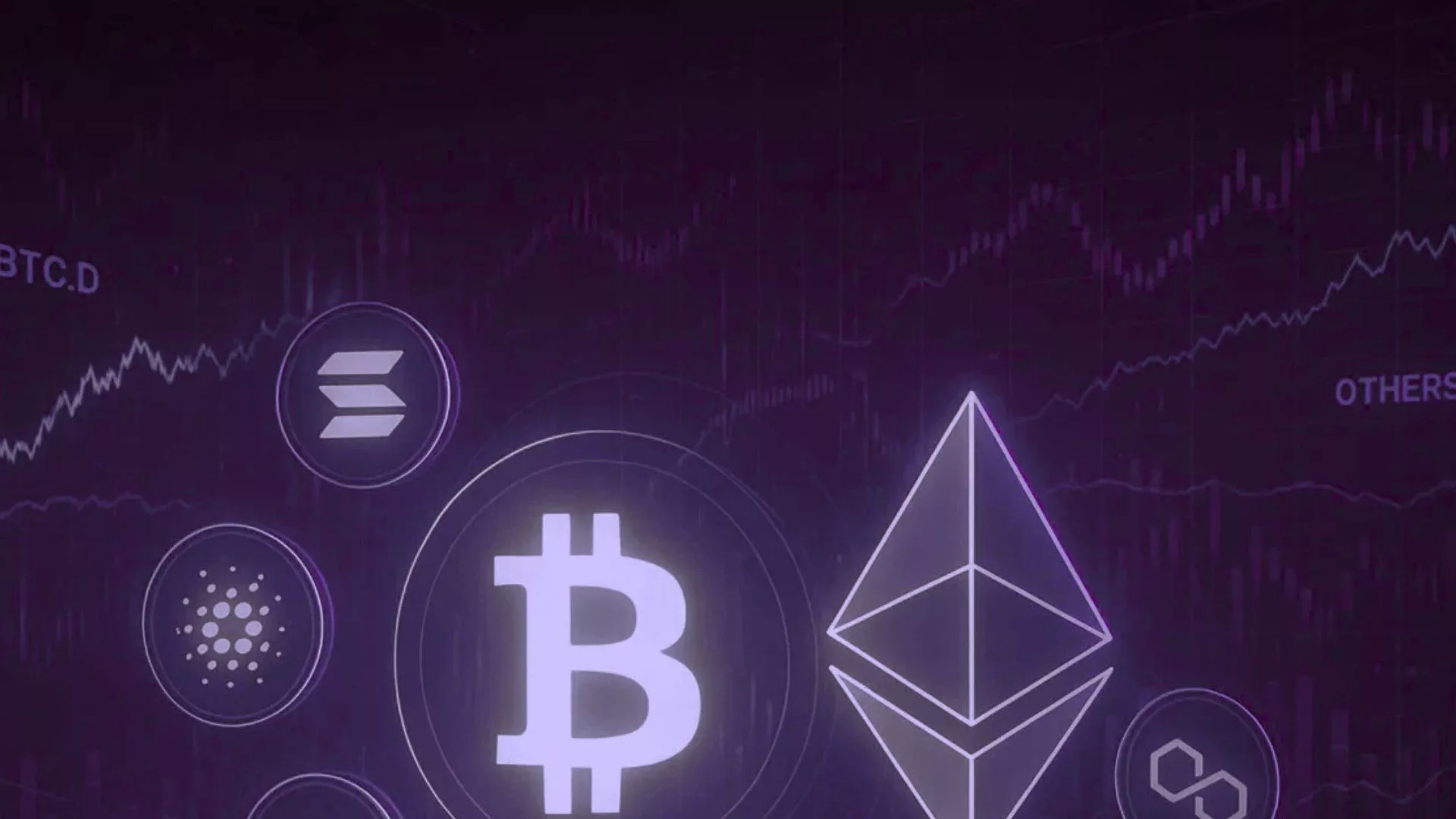 Altcoin Dominance: How to Read the Chart & Trade the Cycle - Mudrex Learn